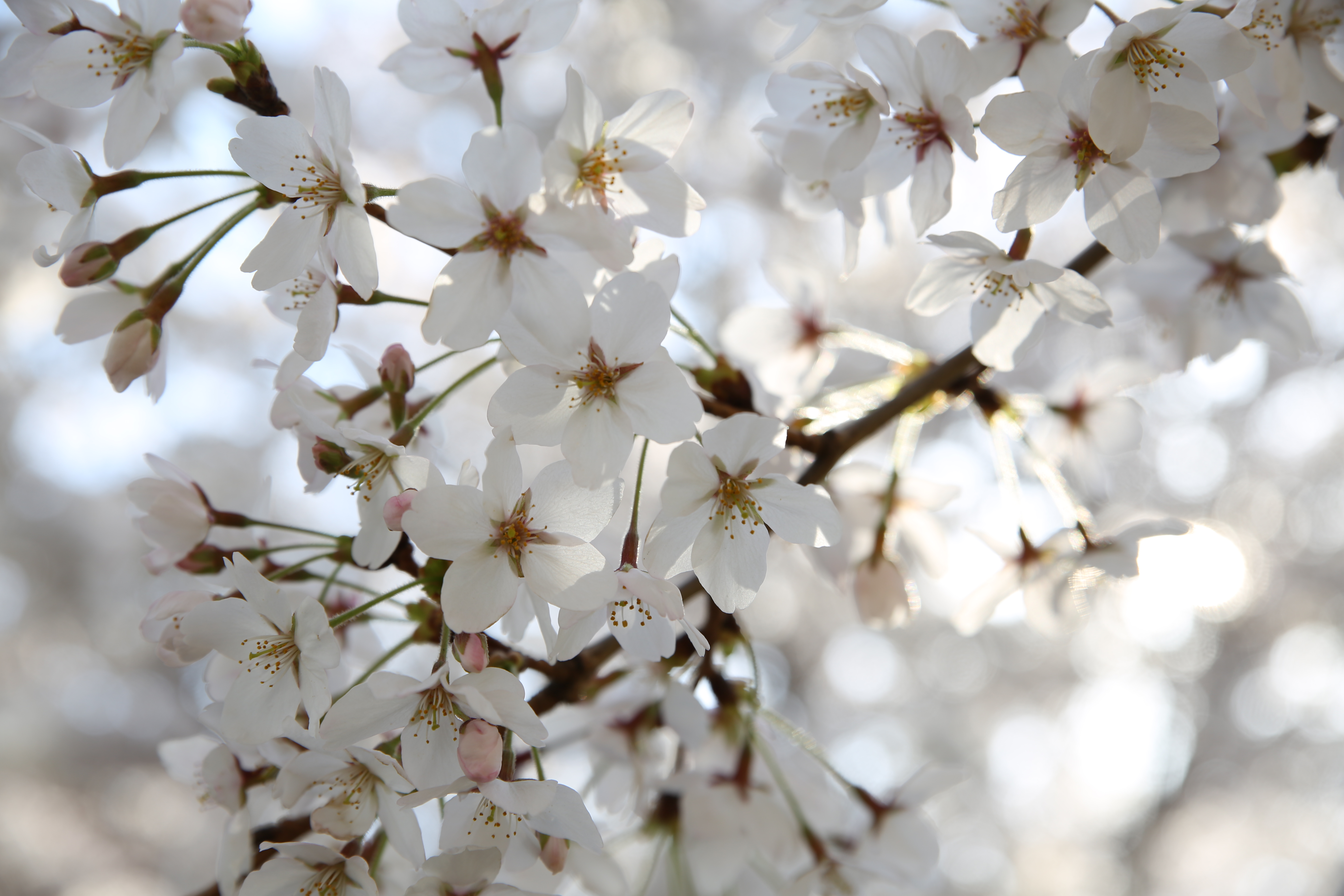 TAMRON 腾龙镜头 | A007